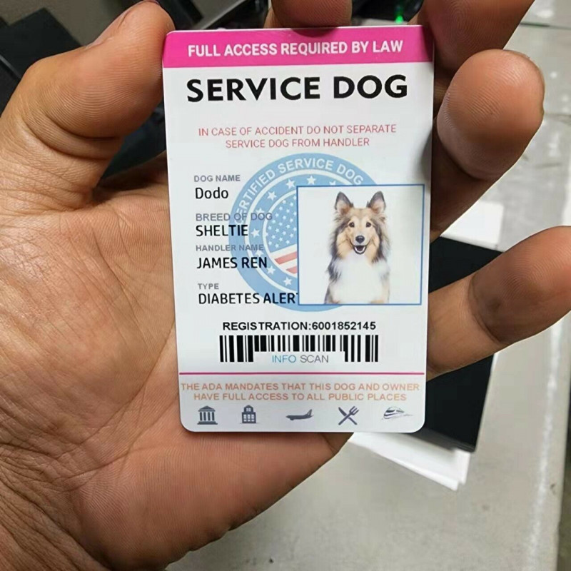 Service Dog ID Card Customized Holographic with Barcode PVC Card